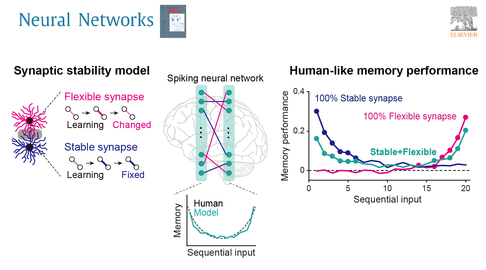 Distinct role of flexible and stable encodings in sequential working memory | Hyeonsu Lee